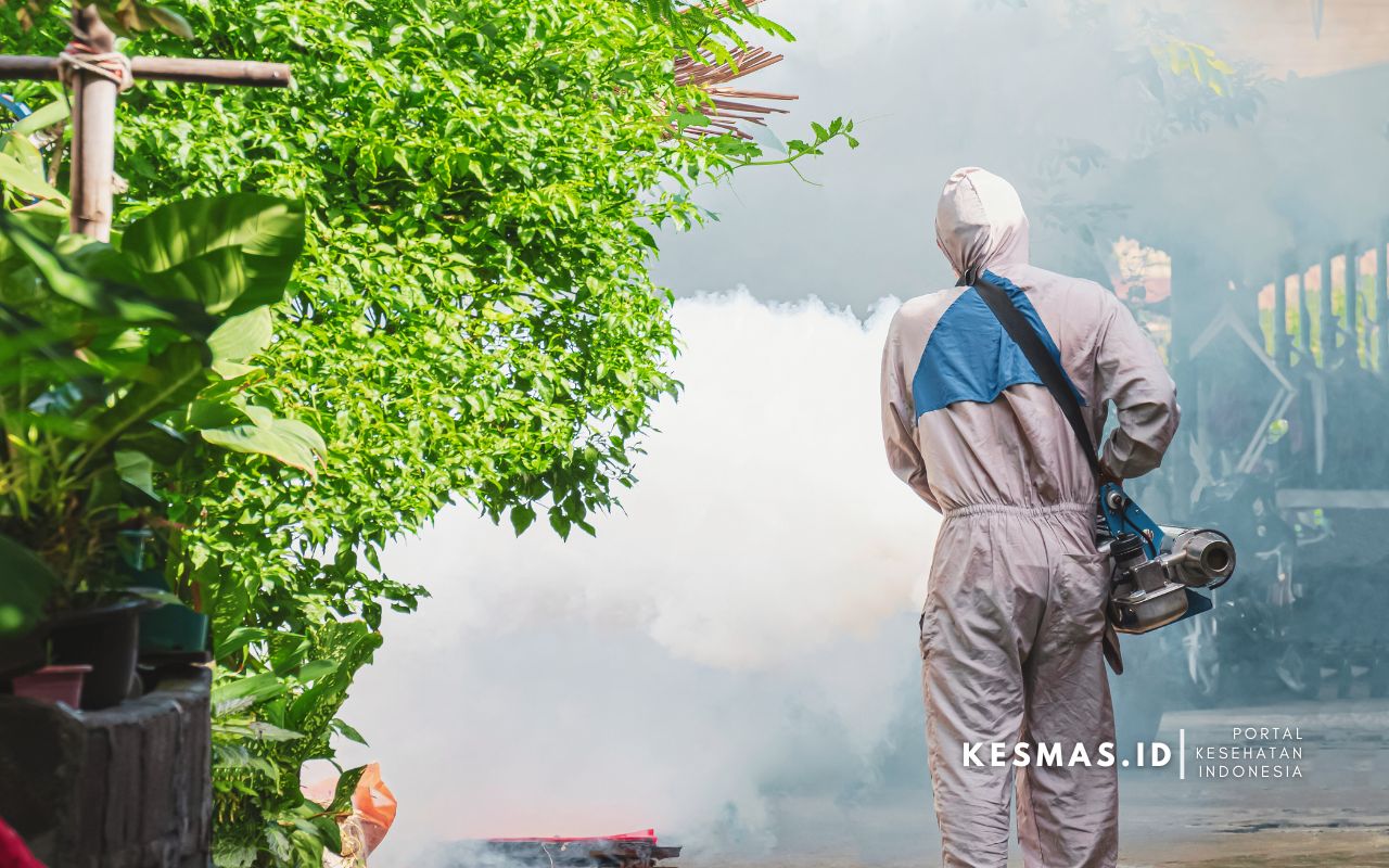 Tren Kasus DBD Tahun 2024 Curi Perhatian, Tingkatkan Penyuluhan ...